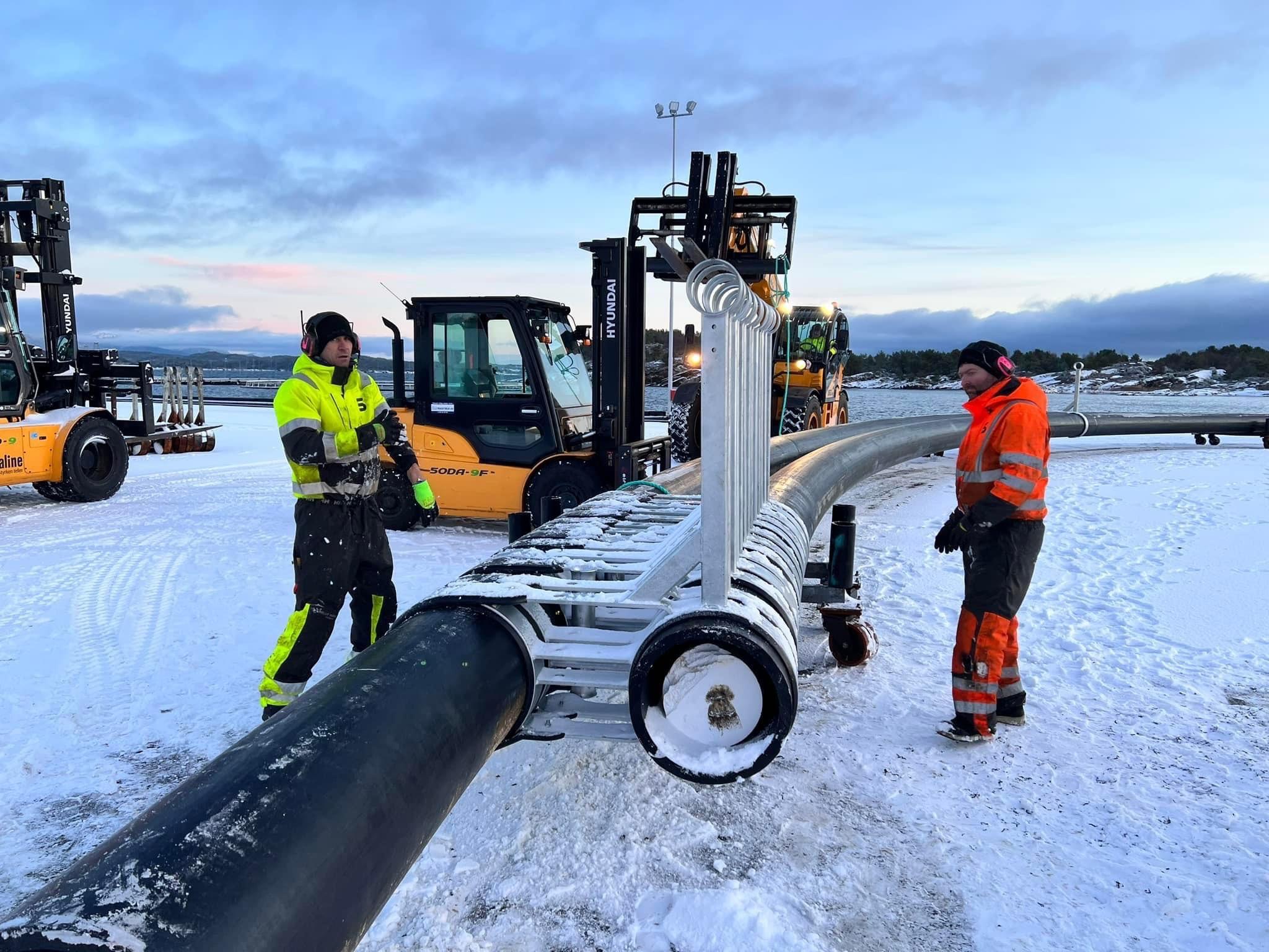 Oppdretter: Levetidsforlengelse er det beste alternativet for ...